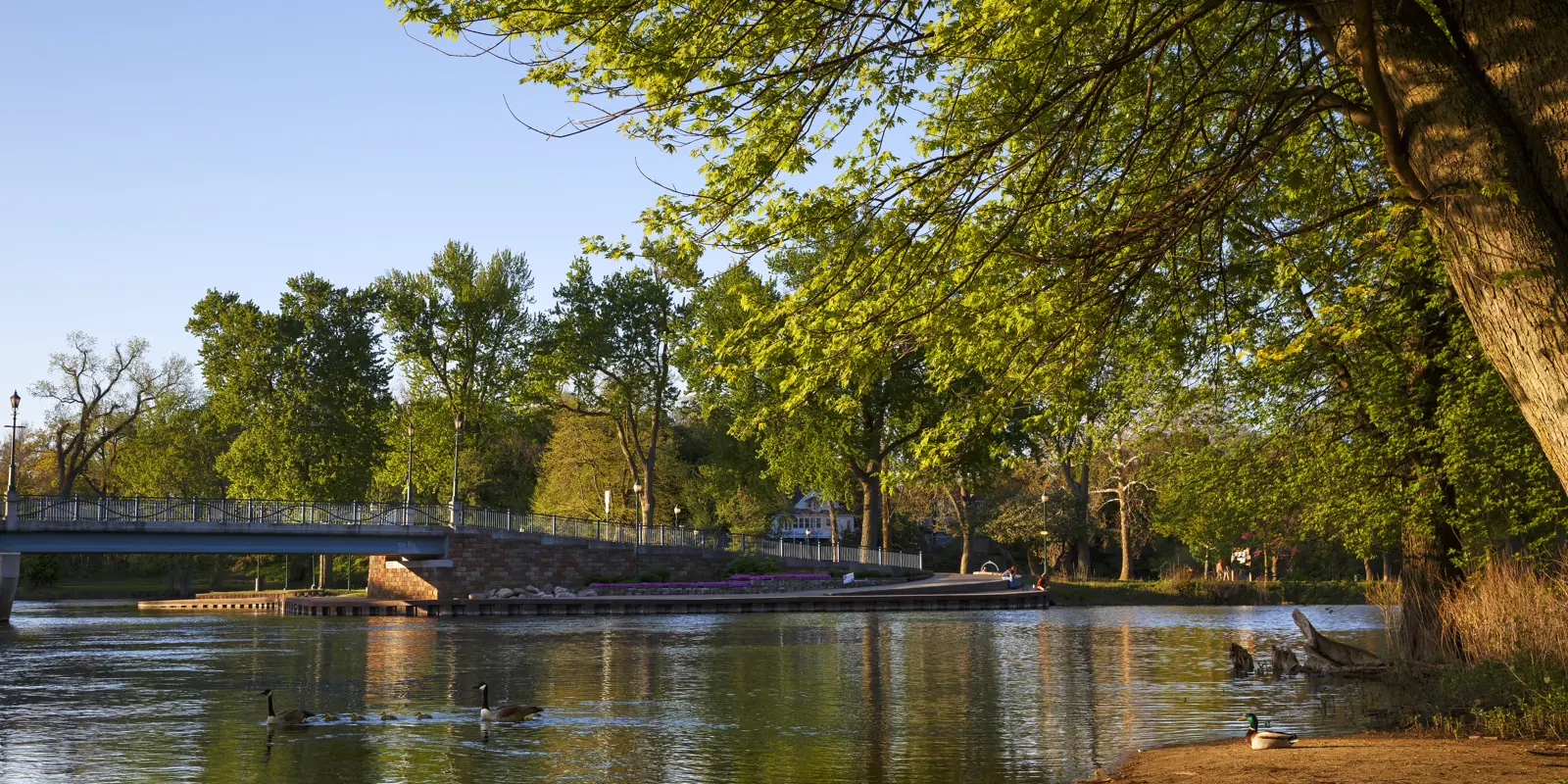Island Park | City of Elkhart